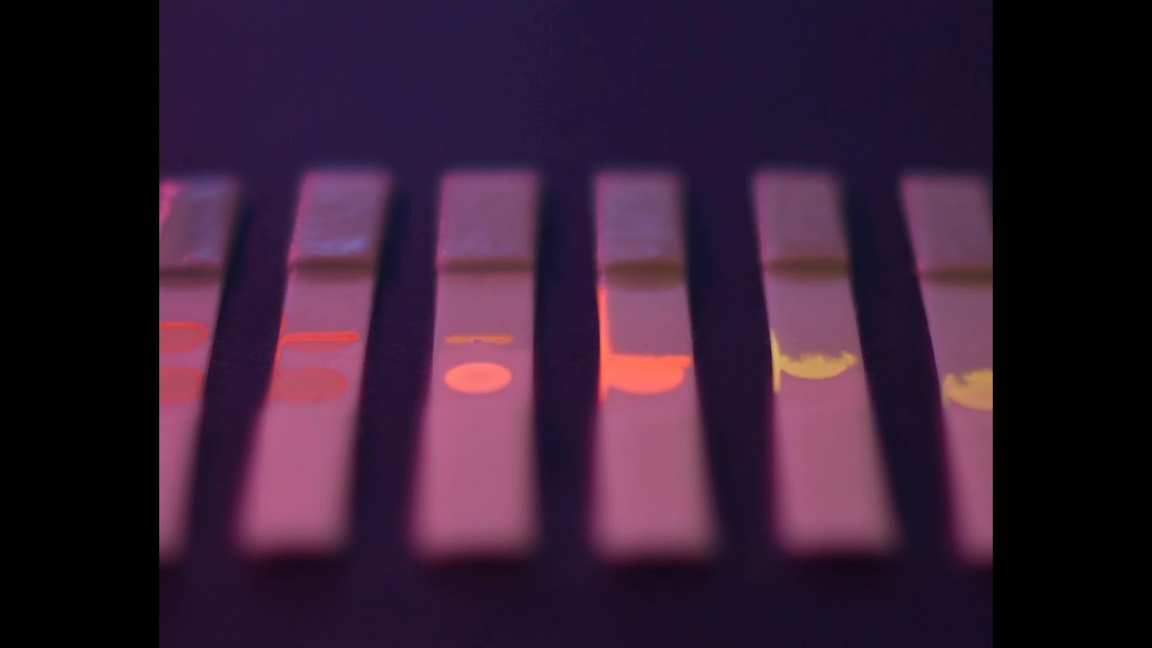 Photoluminescent paper-based sensor for pathogens using graphene oxide ...