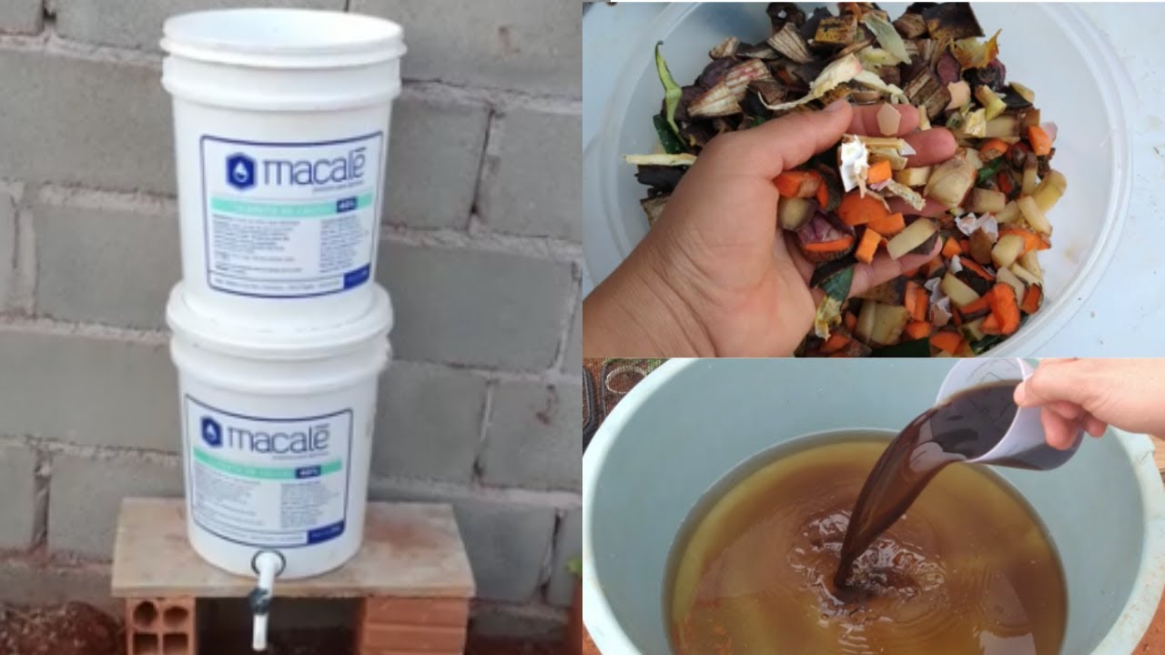 Composteira Doméstica Passo a Passo - YouTube