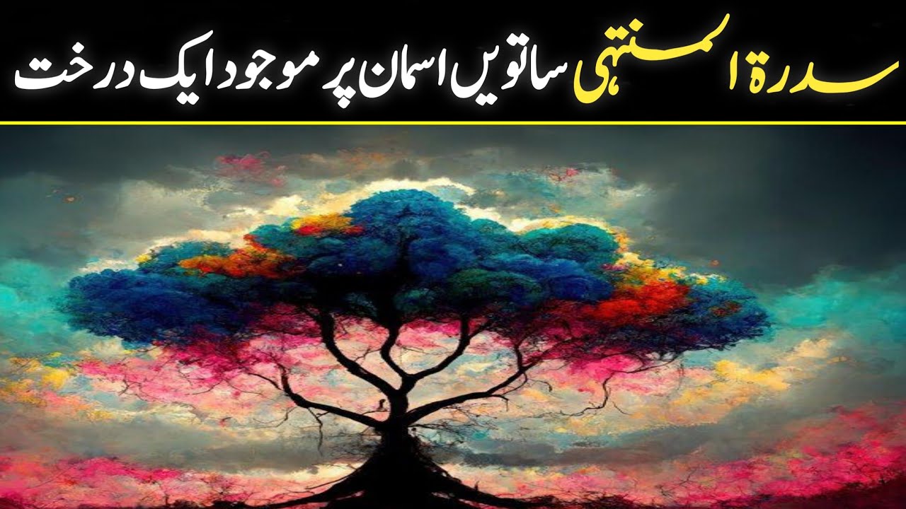 Sidratul Muntaha kya hai | Tree on 7th sky | Sidra tul muntaha and ...