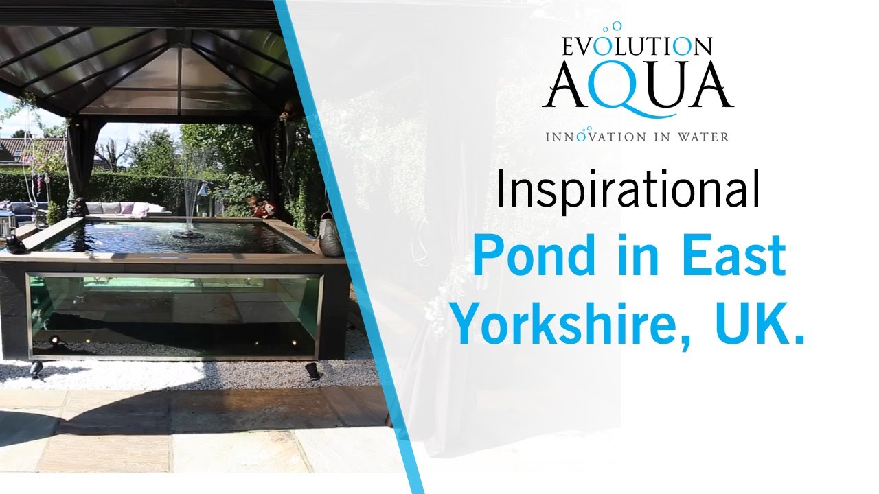 Beautiful pond using Evolution Aqua products! - YouTube