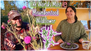 Thistles! The World's Most Misunderstood Wildflower 🌸