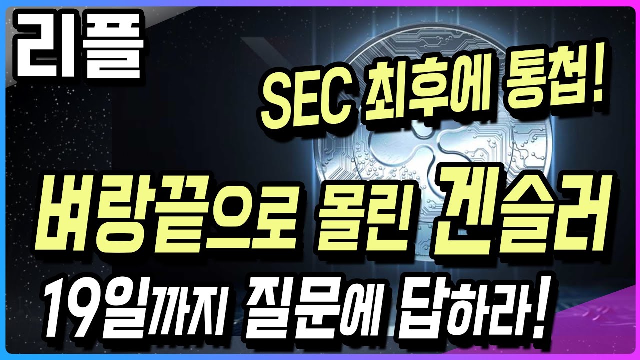 리플 Xrp 벼랑끝으로 몰린 게리 겐슬러 Sec의 최후통첩 19일까지 질문에 답하라 리플코인 리플 코인 Youtube