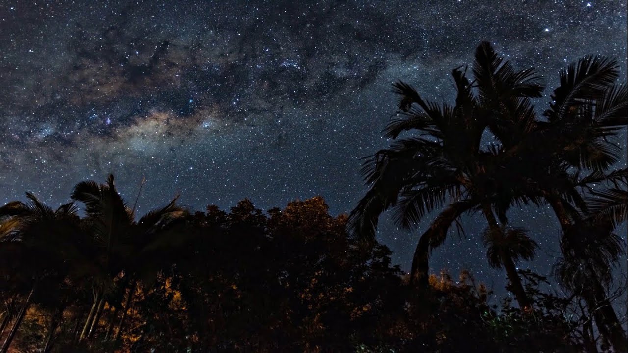 🟡 Calming Woodland Noises at Night: Forest Sounds for Sleep and ...