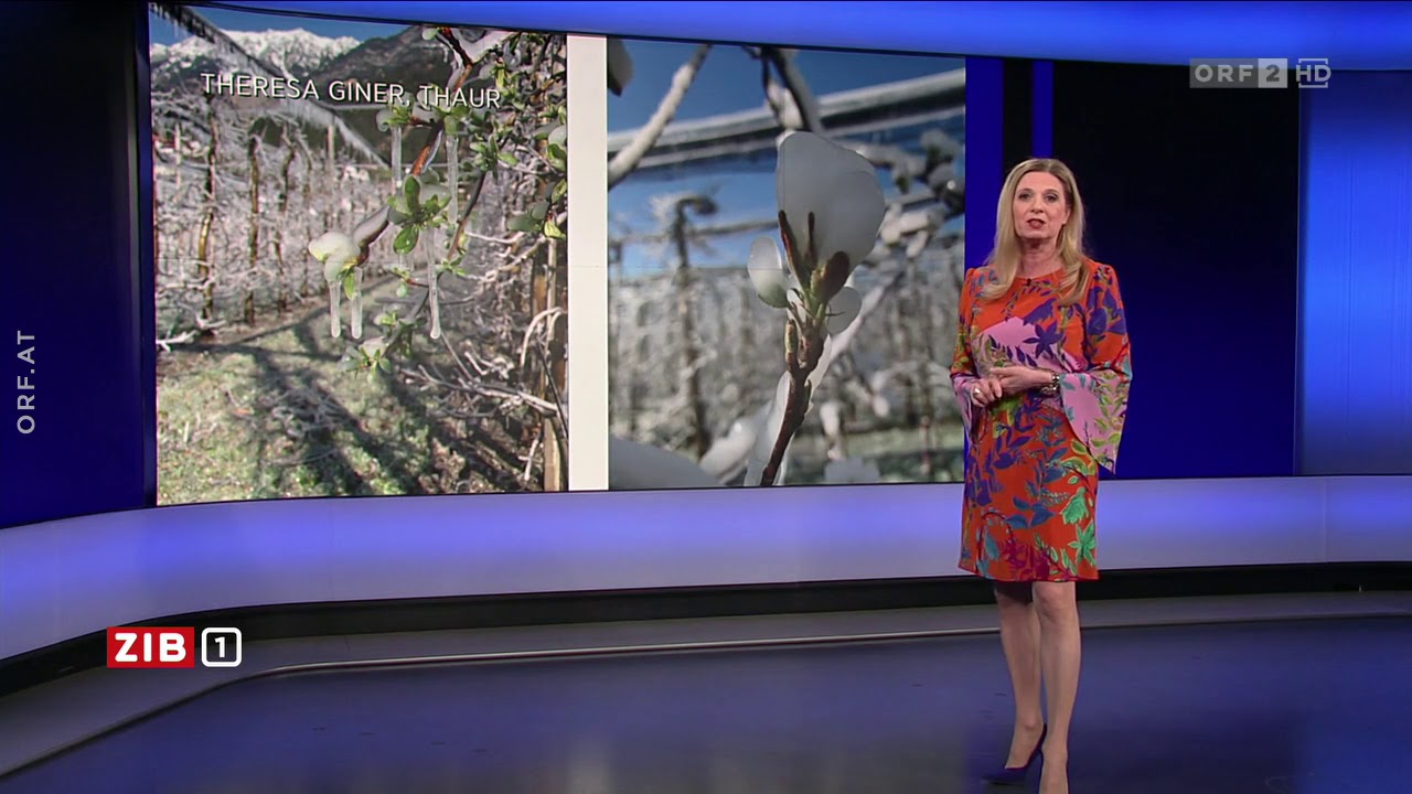 Christa Kummer 24 03 2020 - YouTube