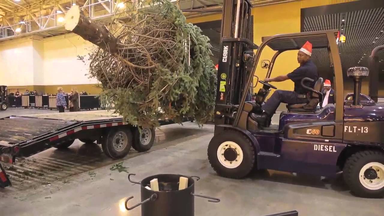 NOLA ChristmasFest installs 25-foot tree (video) - YouTube