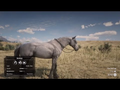 Red dead redemption 2: Grullo Dun coat Mustang - YouTube