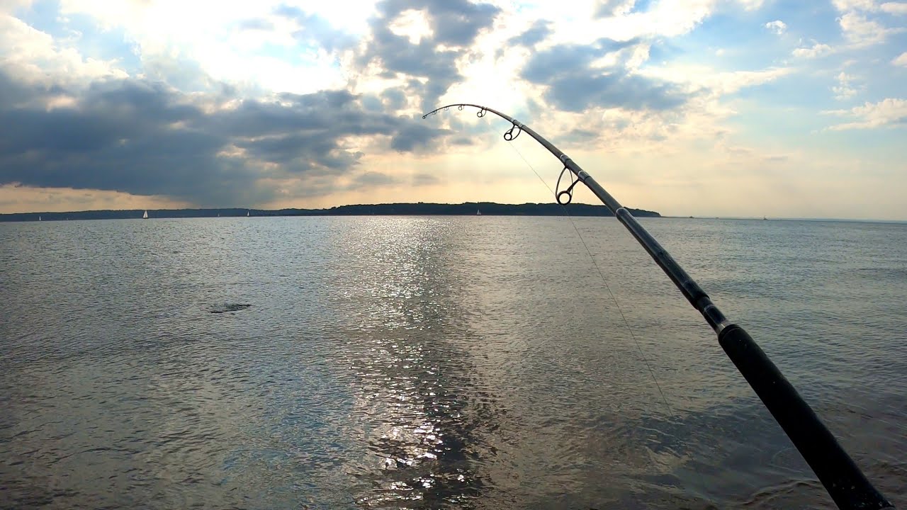 Topwater Bluefish Snapper Blitz at Hobart Beach w/ Kastmasters - Long ...