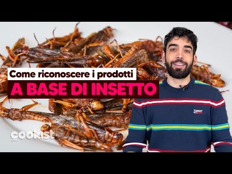 Cibi a base di insetti: 3 modi per riconoscerli facilmente - YouTube