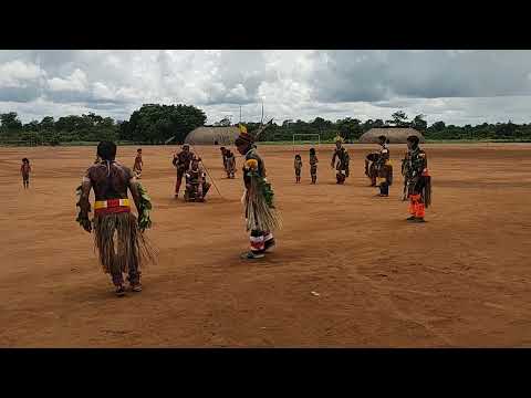 Festa indígena,(Auaruanã) na aldeia Matipu novo Alto xingú.