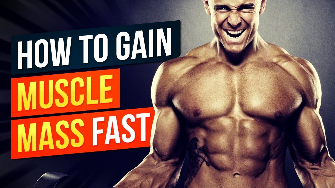 How to Gain Muscle Fast | Building Muscle Tips | Best Health tips 2019 ...