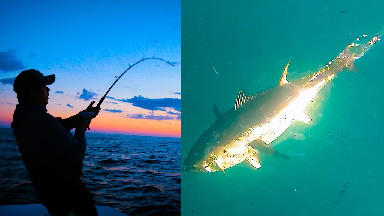 Fishing Massive Schools of Bluefin Tuna | Cape Cod, MA | S20 E09 - YouTube