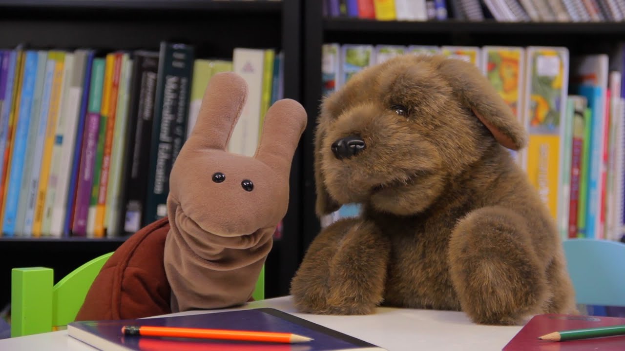 Puppy and Snail’s Summer Vacation - YouTube