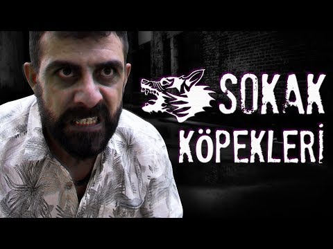 Gölge - Sokak Köpekleri