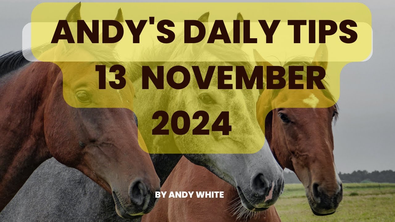 Andy's Daily Tips for Horse Racing, Wednesday 13th November - YouTube