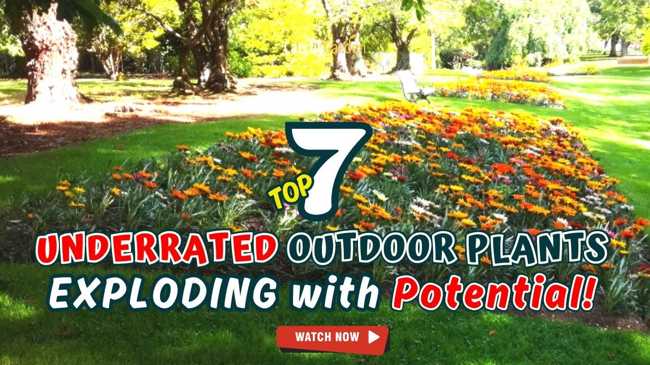 Top 7 UNDERRATED Outdoor Plants EXPLODING with Potential! 🚀🌻🌿 ...