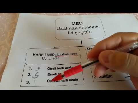 MED NEDİR KAÇA AYRILIR?