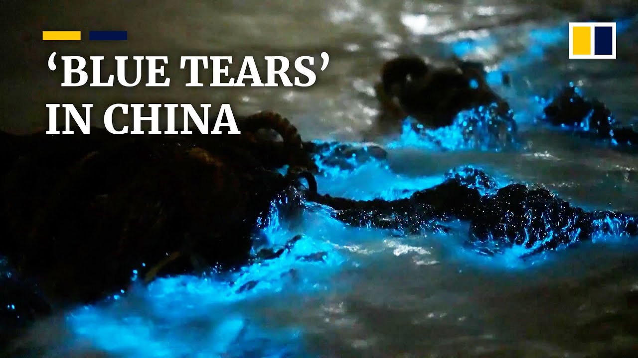 China’s luminous ‘blue tears’ are actually a tip-off to unhealthy ...