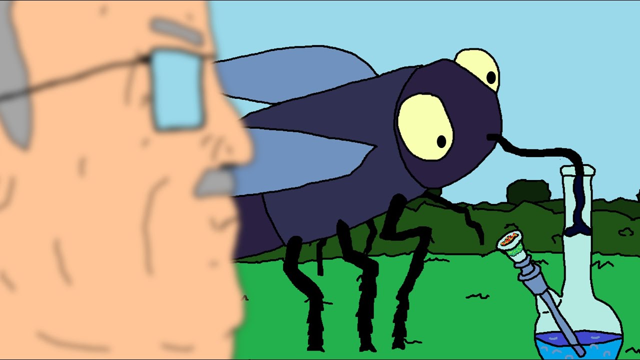 Fly High - Animated Short Film - YouTube