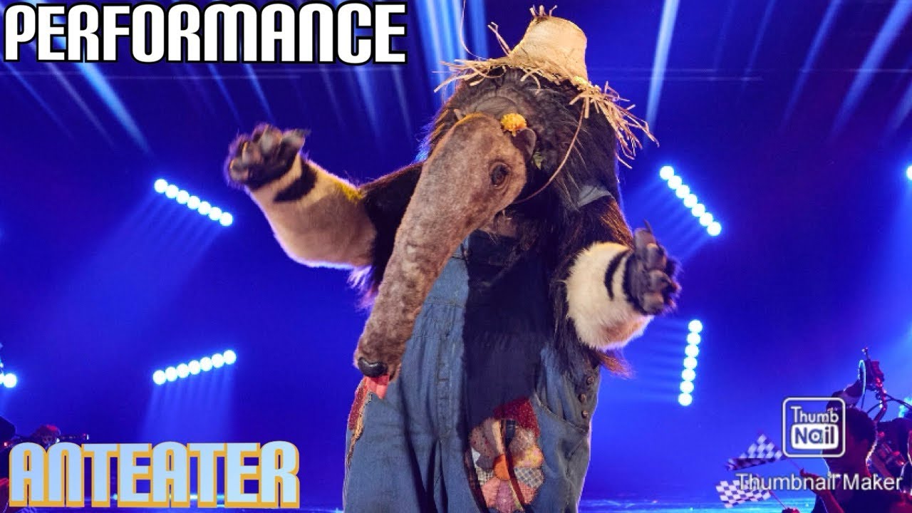 Anteater Performs "Johnny B. Goode" By Chuck Berry | Masked Singer ...