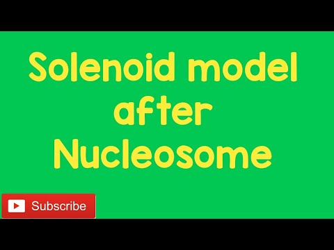 Solenoid model.//Nucleosome // DNA packaging. - YouTube