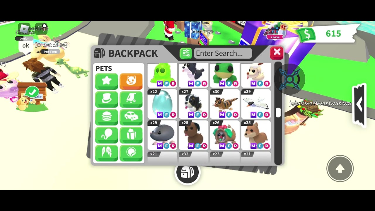 New adopt me get all mfr pets 2024 - YouTube