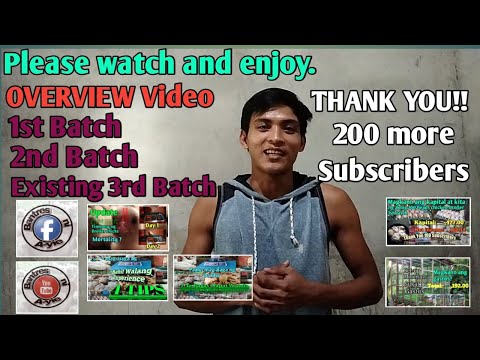 OVERVIEW | 1st Batch | 2nd Batch | Existing 3rd Batch Chicken Broiler ...