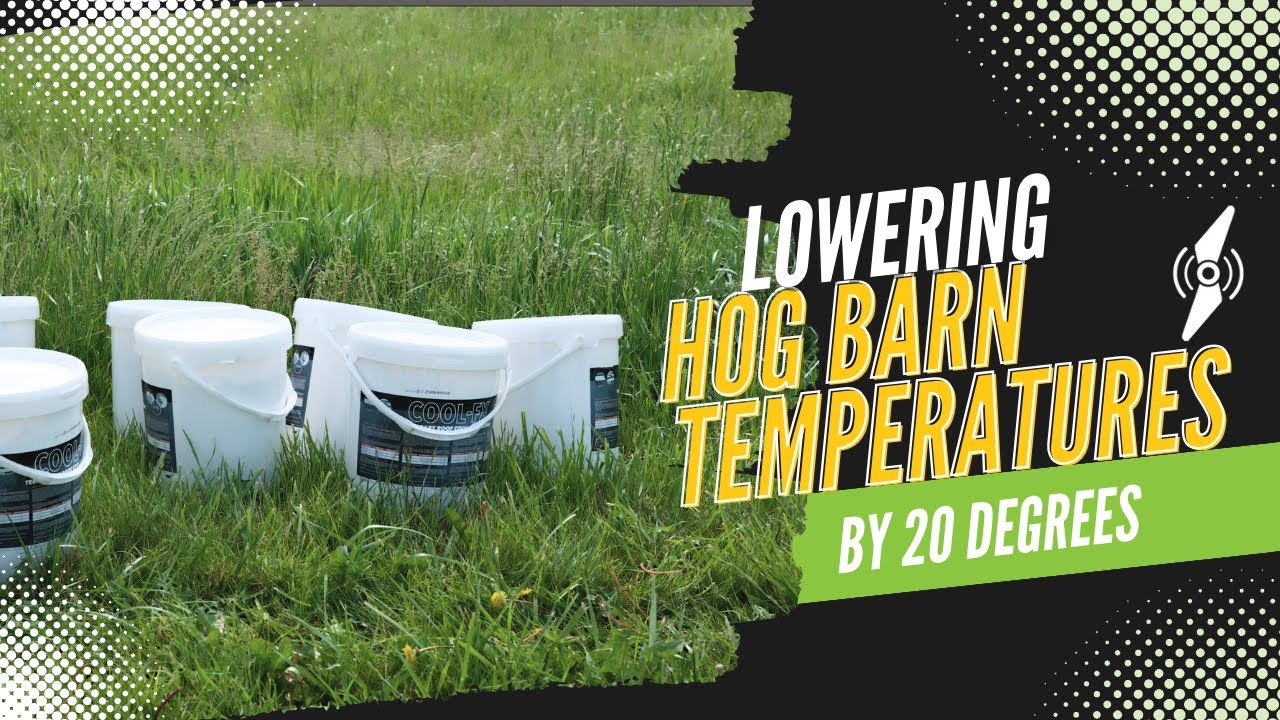 Lowering Hog Barn Temperatures by 20 Degrees using the Agras T50 and ...