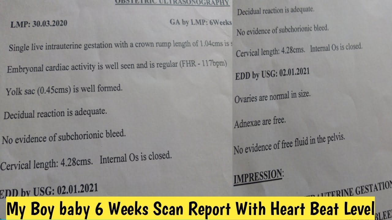 My Boy baby 6 Weeks Scan Report With Heart Beat Level Amma Simple ...