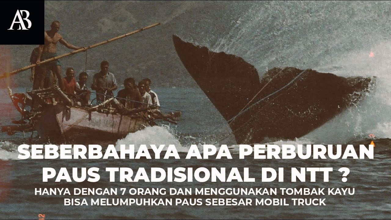 SEMENGERIKAN APA PERBURUAN PAUS LAMALERA? - YouTube