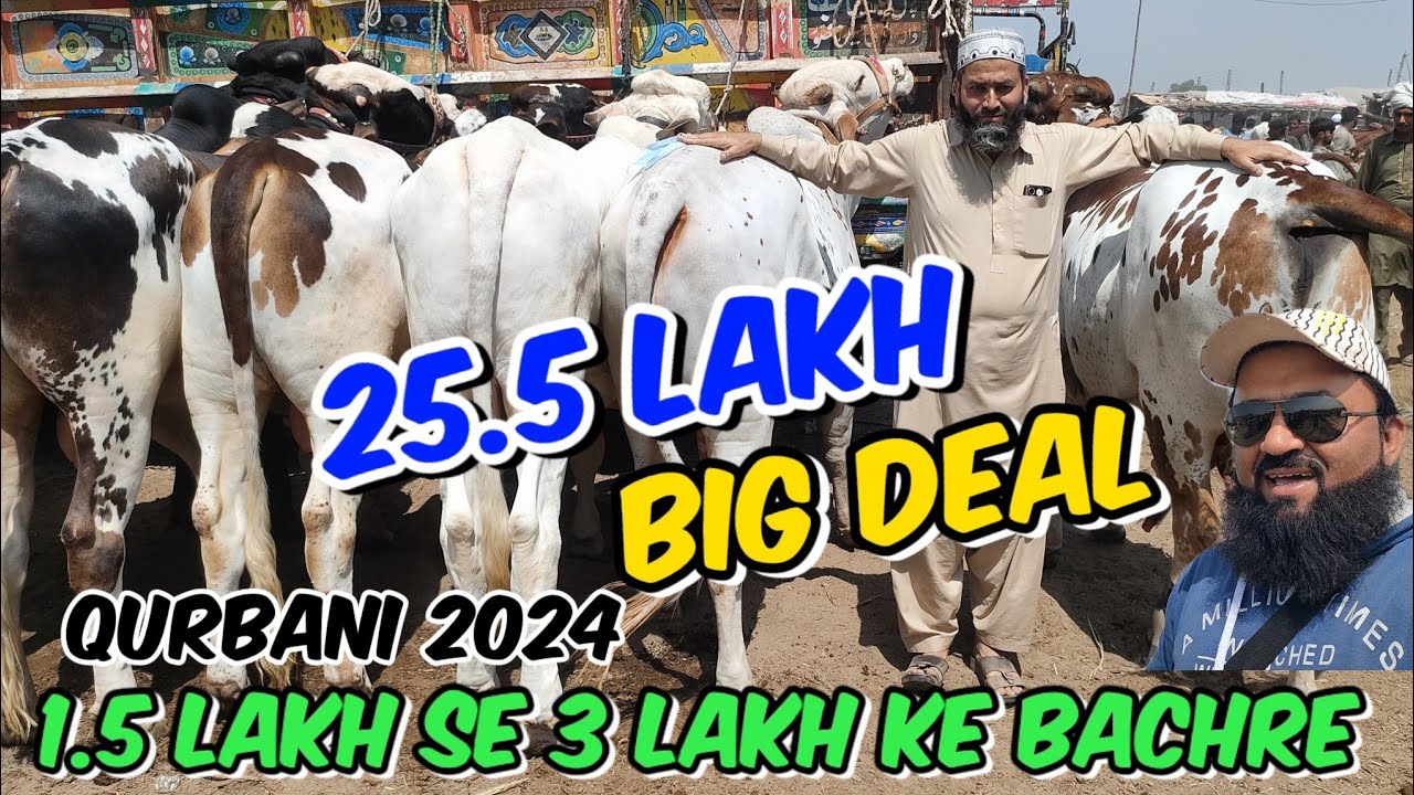 Big Deal 25.5 Lakh ki | 1.5 Lakh se 3 Lakh ke bachron ke rate | Bakra ...