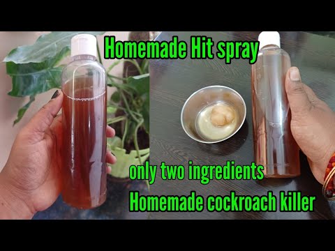 Homemade cockroach 🪳🪳🪳killer spray only two ingredients homemade Hit ...