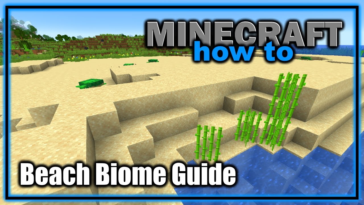 Everything About the Beach Biome! (1.18+) | Minecraft Biome Guide - YouTube