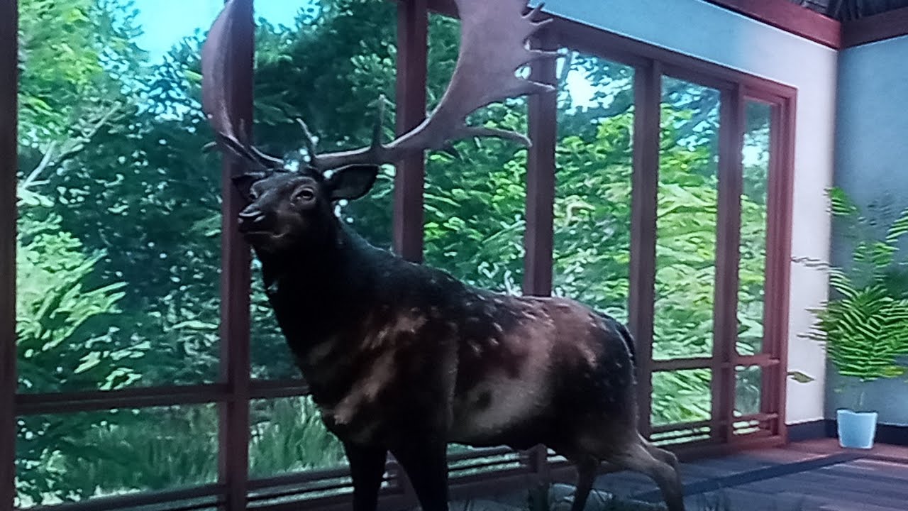 Great One Fallow Deer number 4 Another Mocha Blade - YouTube