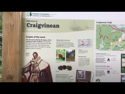 Craigvinean Forest - YouTube