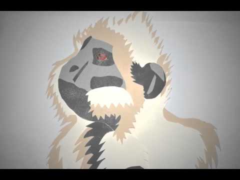 PSA - Endangered Animals FINAL - YouTube