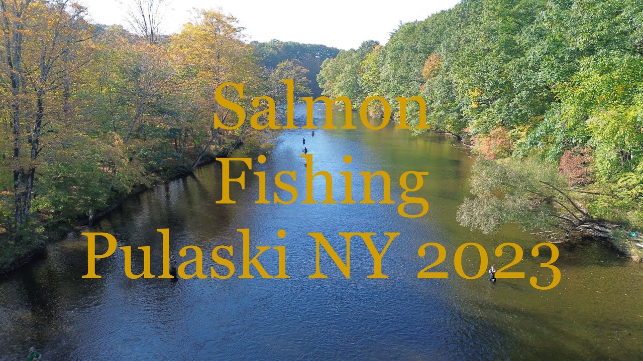 Salmon Fishing In Pulaski NY 2023 - YouTube