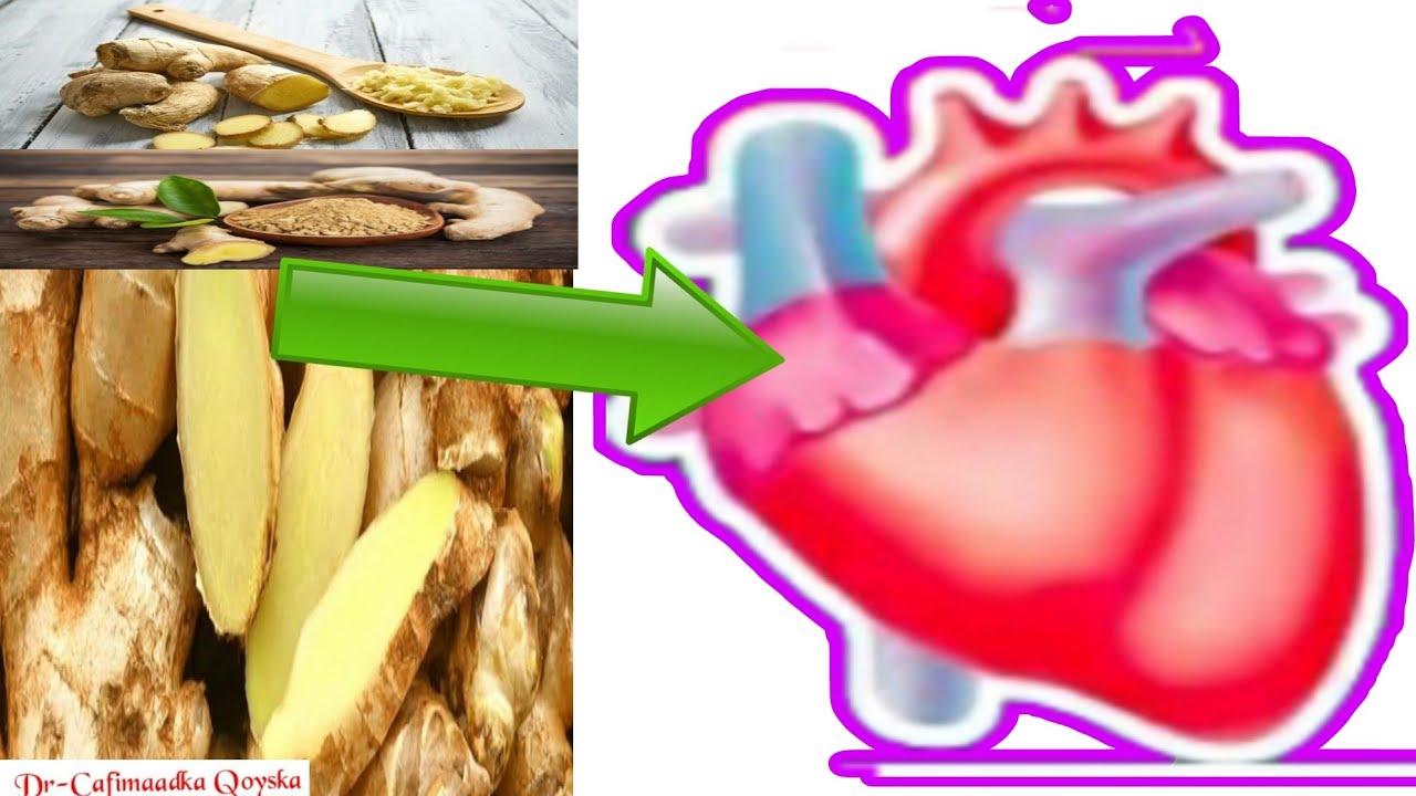 Digniin Halista SINJIBIIShA La Cuno🤭🤔😐 - YouTube