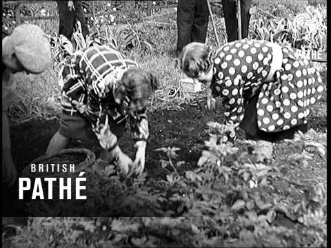 Doing Their Bit (1939) - YouTube