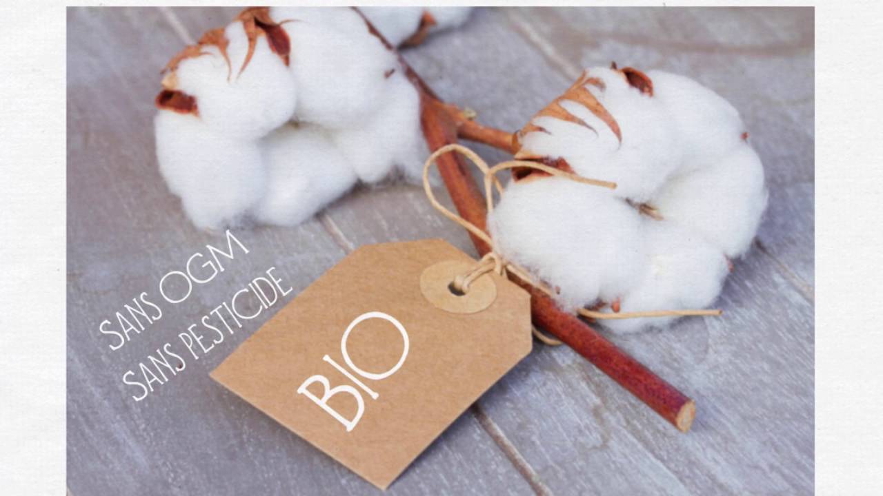 Une minute pour comprendre : pourquoi le coton bio, c'est mieux ? - YouTube