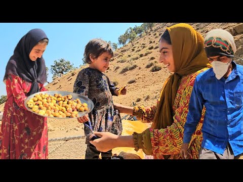 Finishing the Hay Work | Kamdin's Sons Help Osool-e Din & Ali Asghar Sings