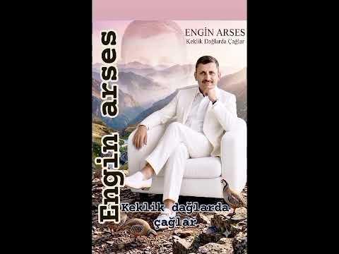 Engin arses sen beni seviyormusun