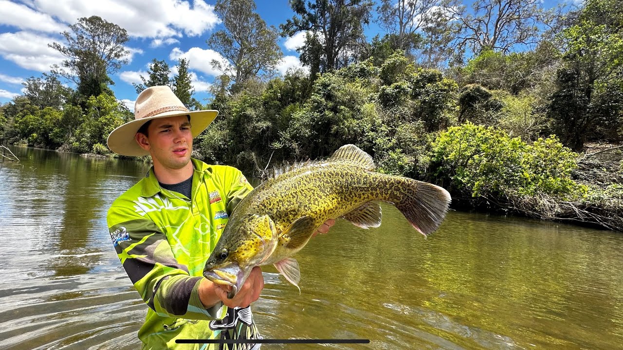We caught an ENDANGERED SPECIES as bycatch! (Australian Bass, Mary ...