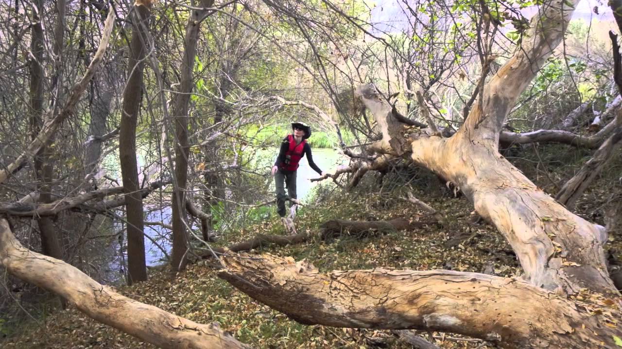 Verde River Whitebridge to Beasley Flat - YouTube