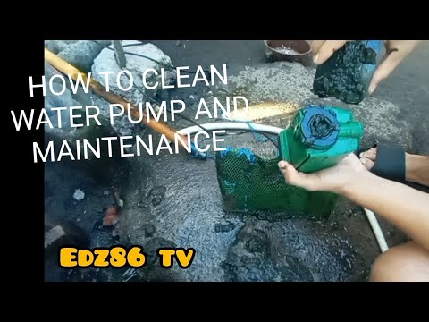 How to clean SUBMERSIBLE water pump in your pond - YouTube