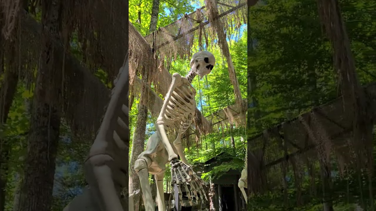 Skeletons Everywhere!! 💀 at Woods of Terror #shorts #woodsofterror # ...