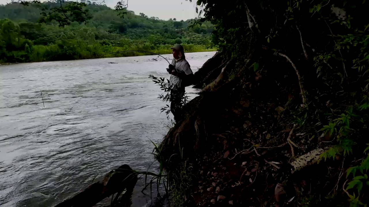 Pesca machaca Costa Rica - YouTube