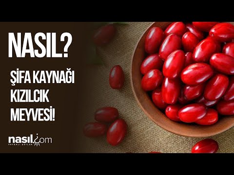 Kızılcık Meyvesinin Mucizevi Faydaları! MUTLAKA İZLEYİN!