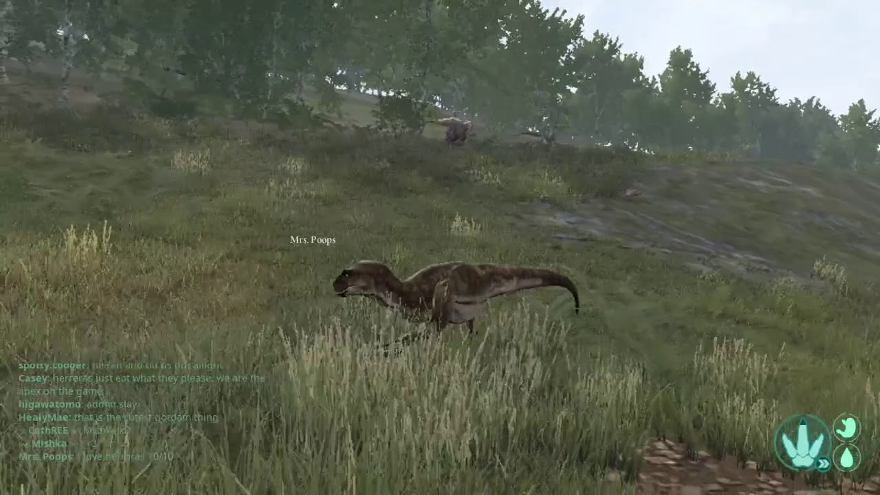 allos ditching body to kill me after we left the area ...
