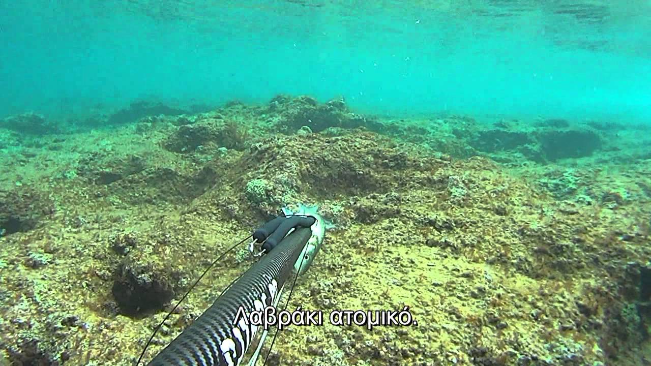 ΨΑΡΟΝΤΟΥΦΕΚΟ ΚΑΡΤΕΡΙ ΡΗΧΑ ΜΕ ΠΕΝΤΑΙΝΑ - YouTube