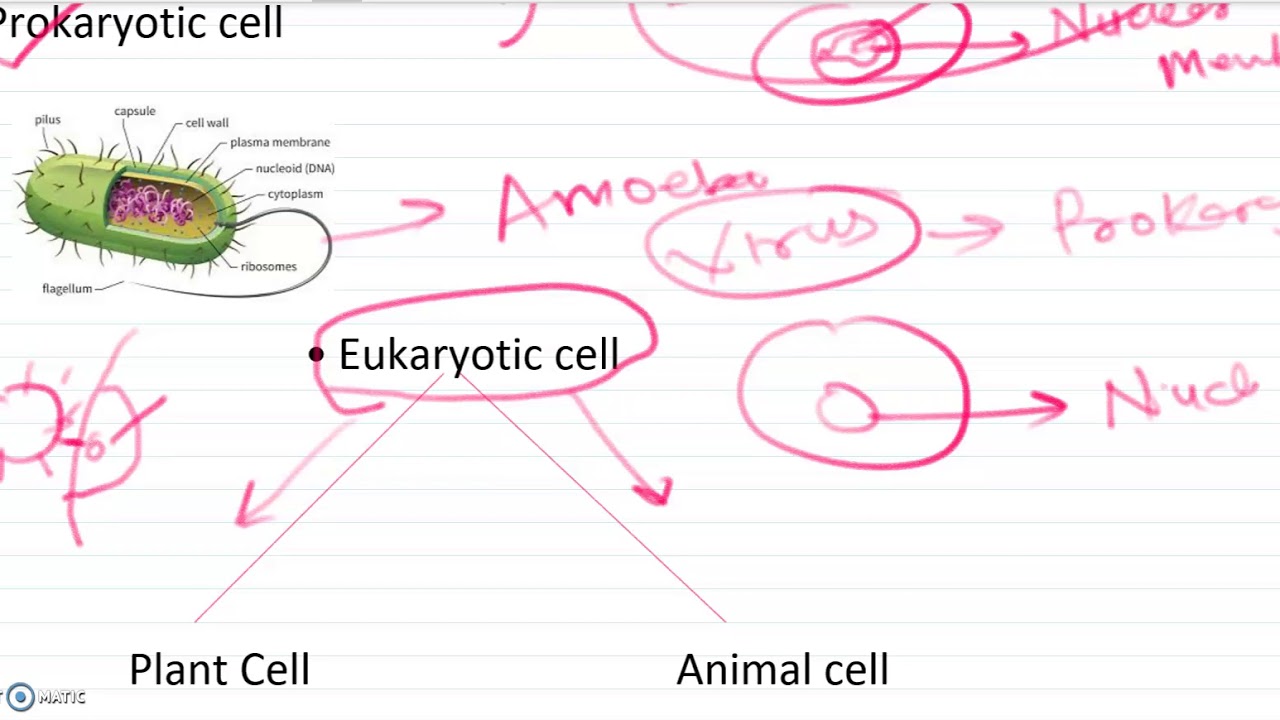 66th BPSC General Science - 21 Days Lock down Crash Course , Cells Part ...